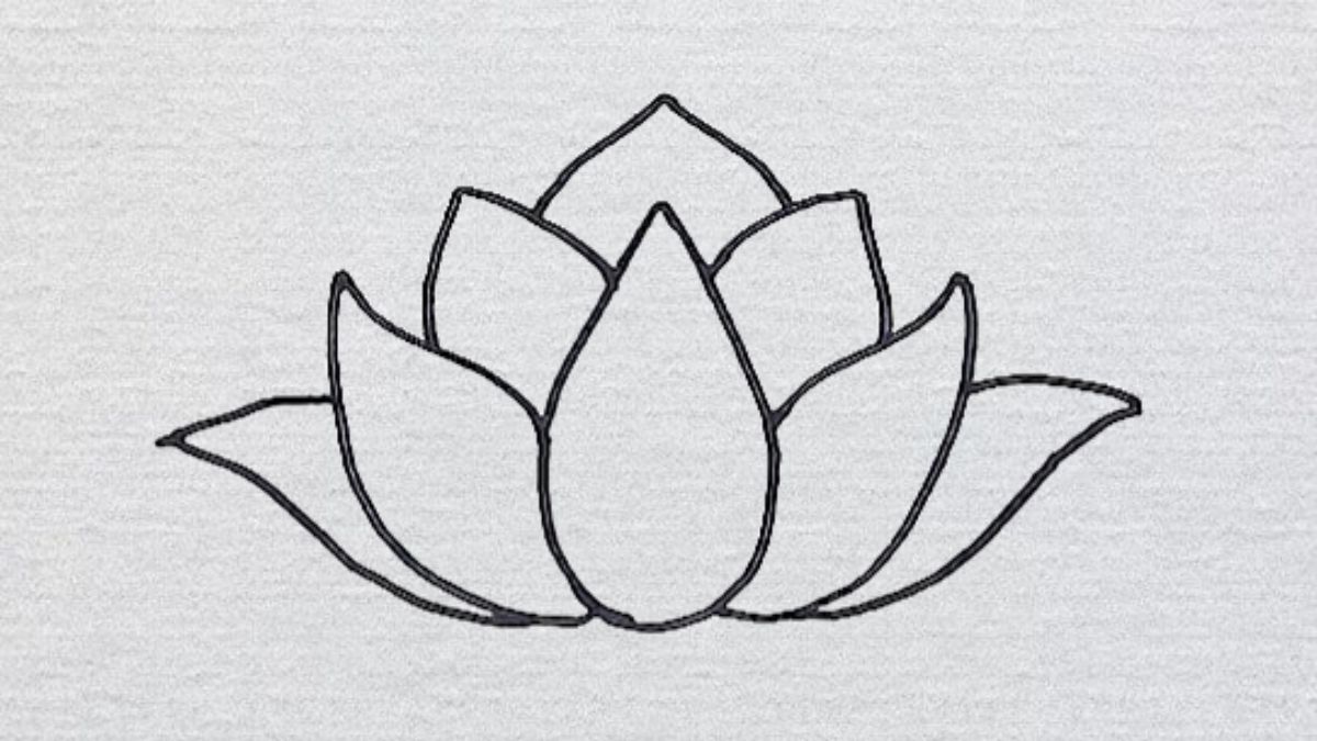 Vẽ hoa sen: 20 cách vẽ đẹp, đơn giản dễ dàng thực hiện